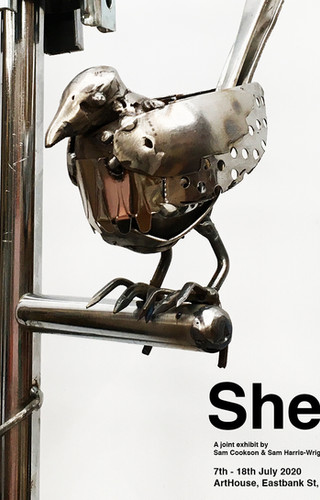 sam harris wright art