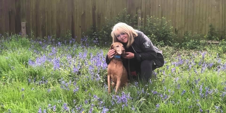 Bracknell/Reading | Therapy Dog Training UK