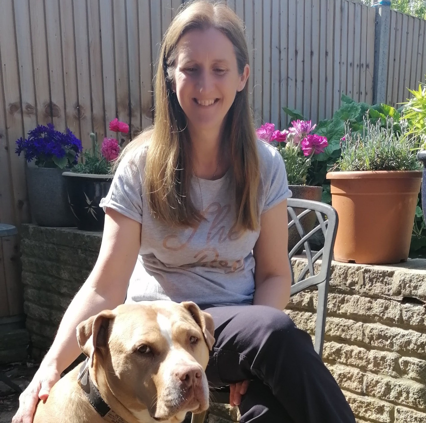 St Albans - Hertfordshire | Therapy Dog Training UK