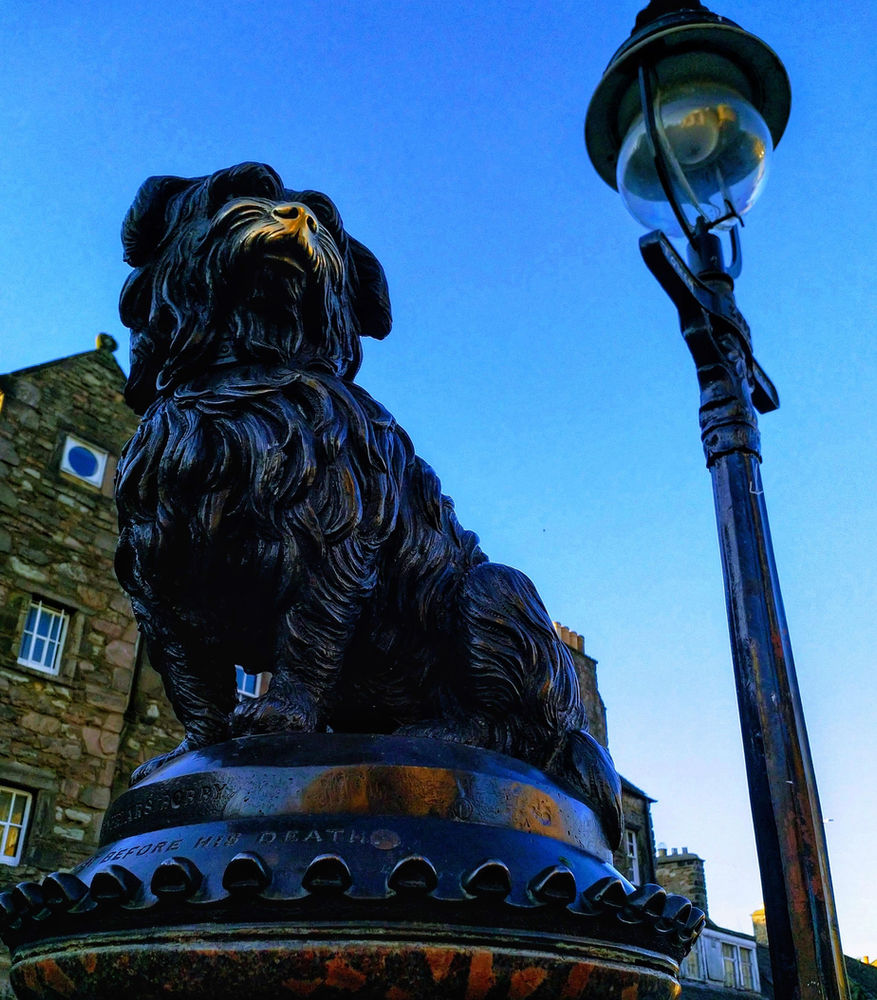 Greyfriars Bobby- Edinburgh's "Best Friend"