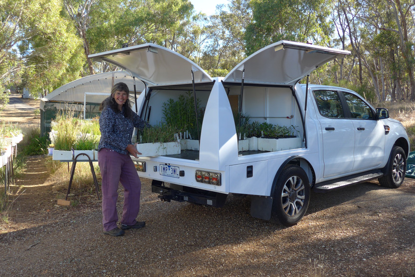 CANOPIES | Lock and Load Ute Bodies | Melbourne
