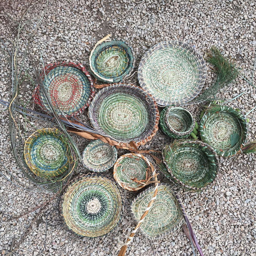 From garden to basket: using New Zealand Flax for weaving