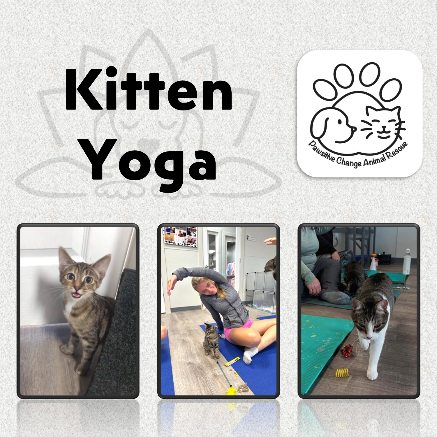 Rescue-Based Puppy Yoga