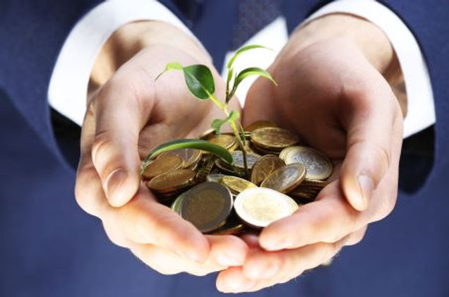 We're looking for a Grants and Individual Giving Officer