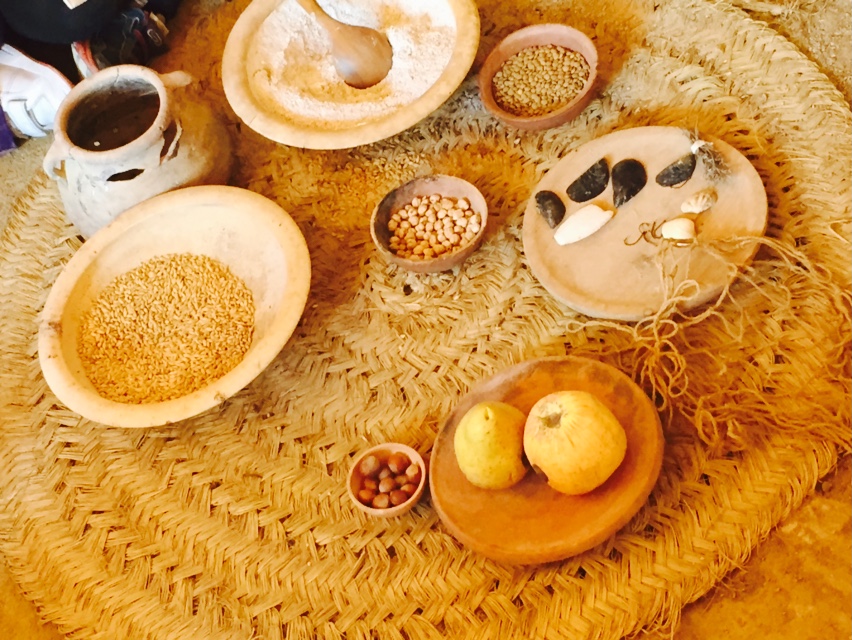 L'ALIMENTACIÓ | ibers