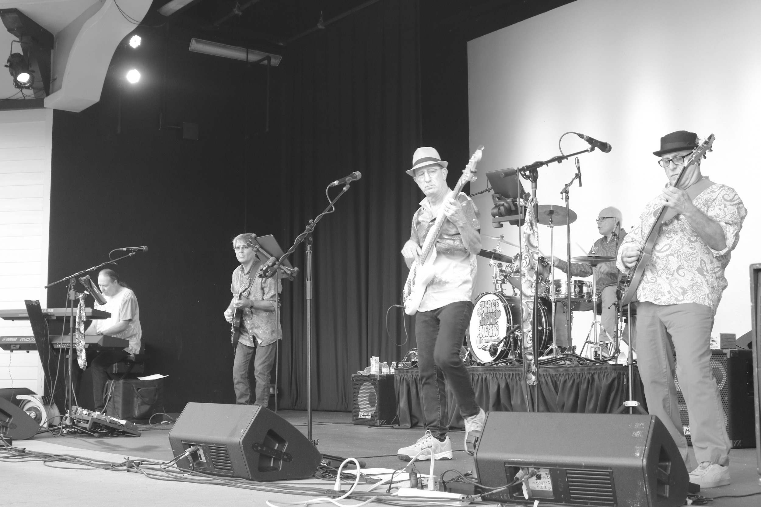 Musical Entertainment