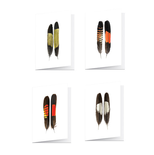Feathers - Set of 4 Black Cockatoo Feather Cards | Bird Photographer