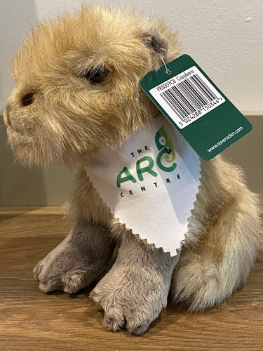 ARC Plush Toy | The ARC Centre