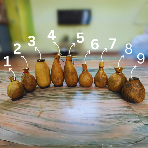 Bottle Gourd - Natural Containers - Season 2 | HLP World