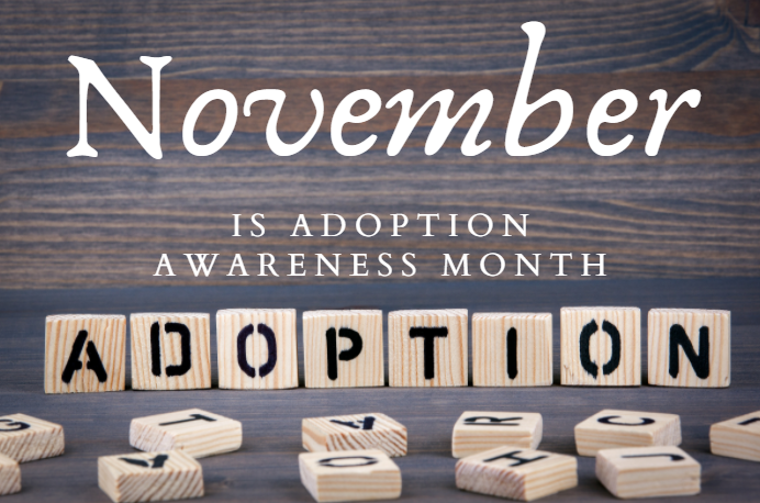 November is Adoption Awareness Month