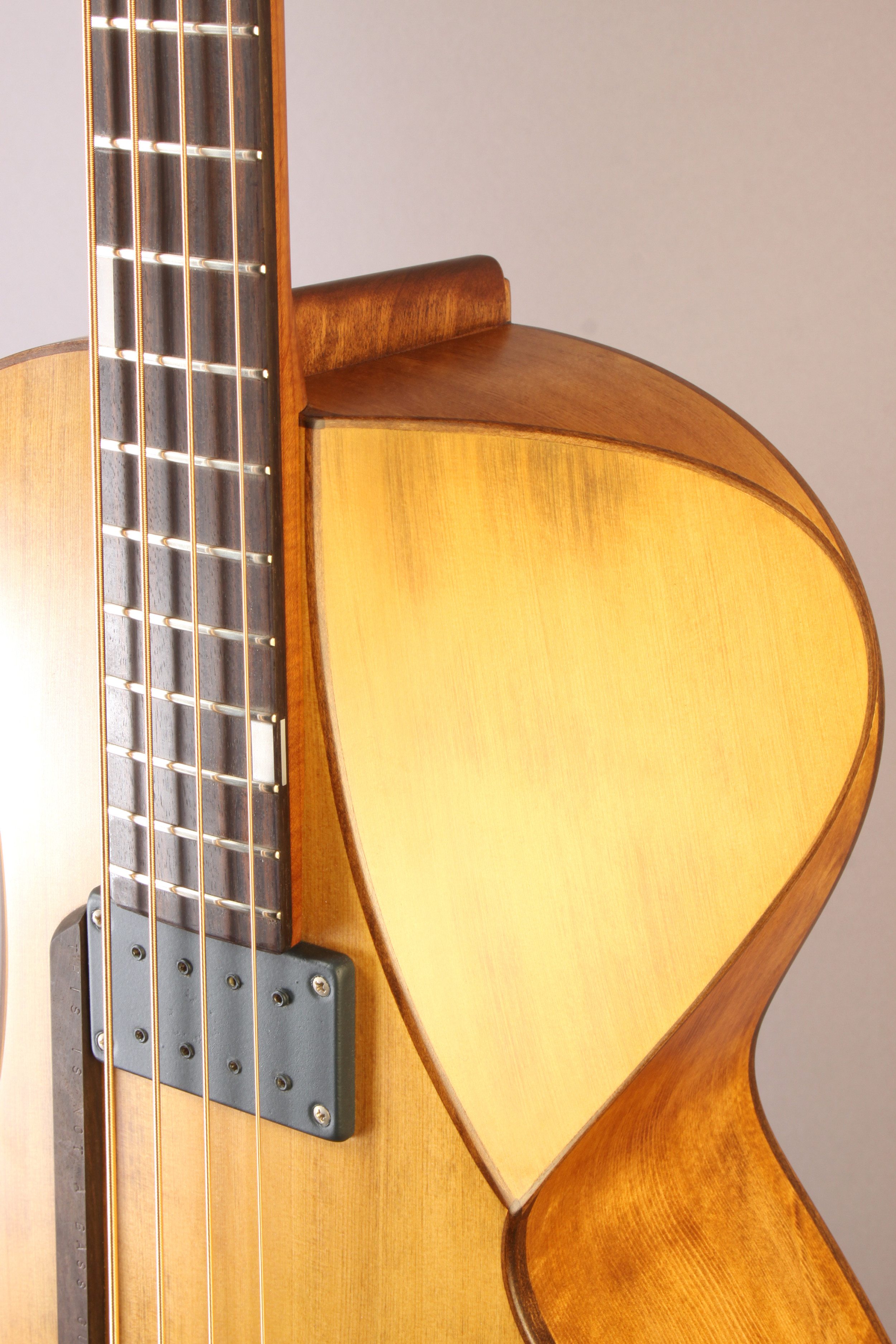 Maya Bass 3 by Thierry André - Andre Instruments