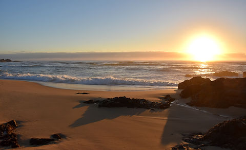 Home | NORTH COAST PROFESSIONAL SOLAR CLEAN