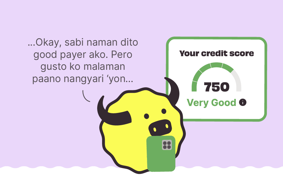 Credit Essentials: Understanding your credit score