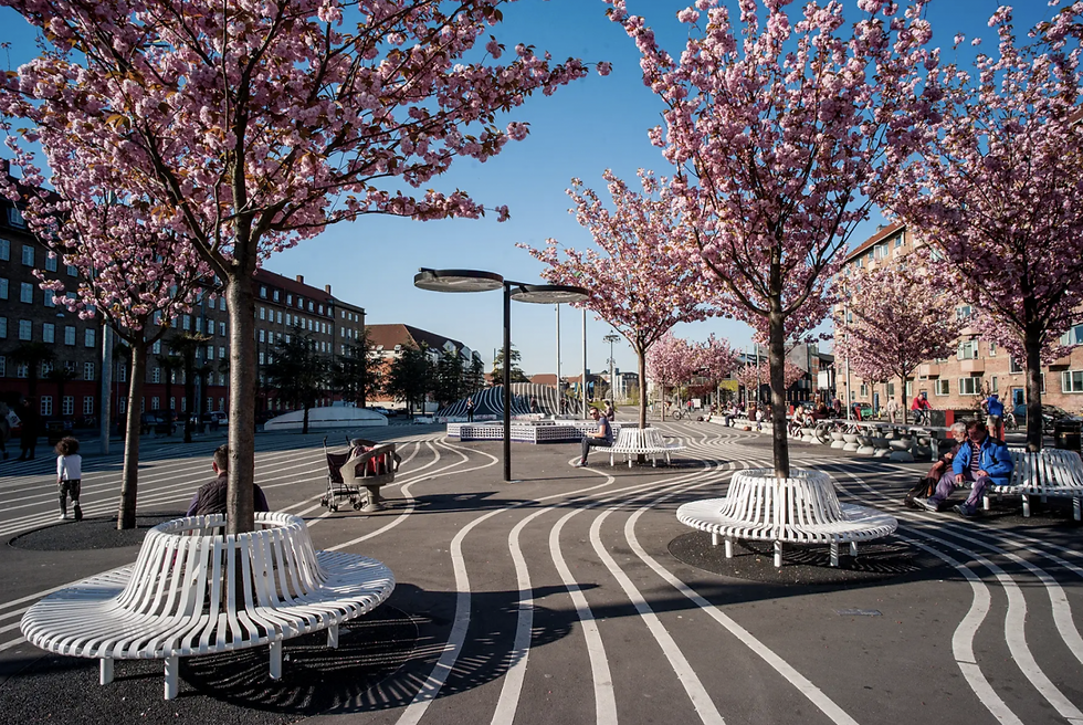 Enhancing Public Spaces: Transforming Urban Life through Thoughtful Design