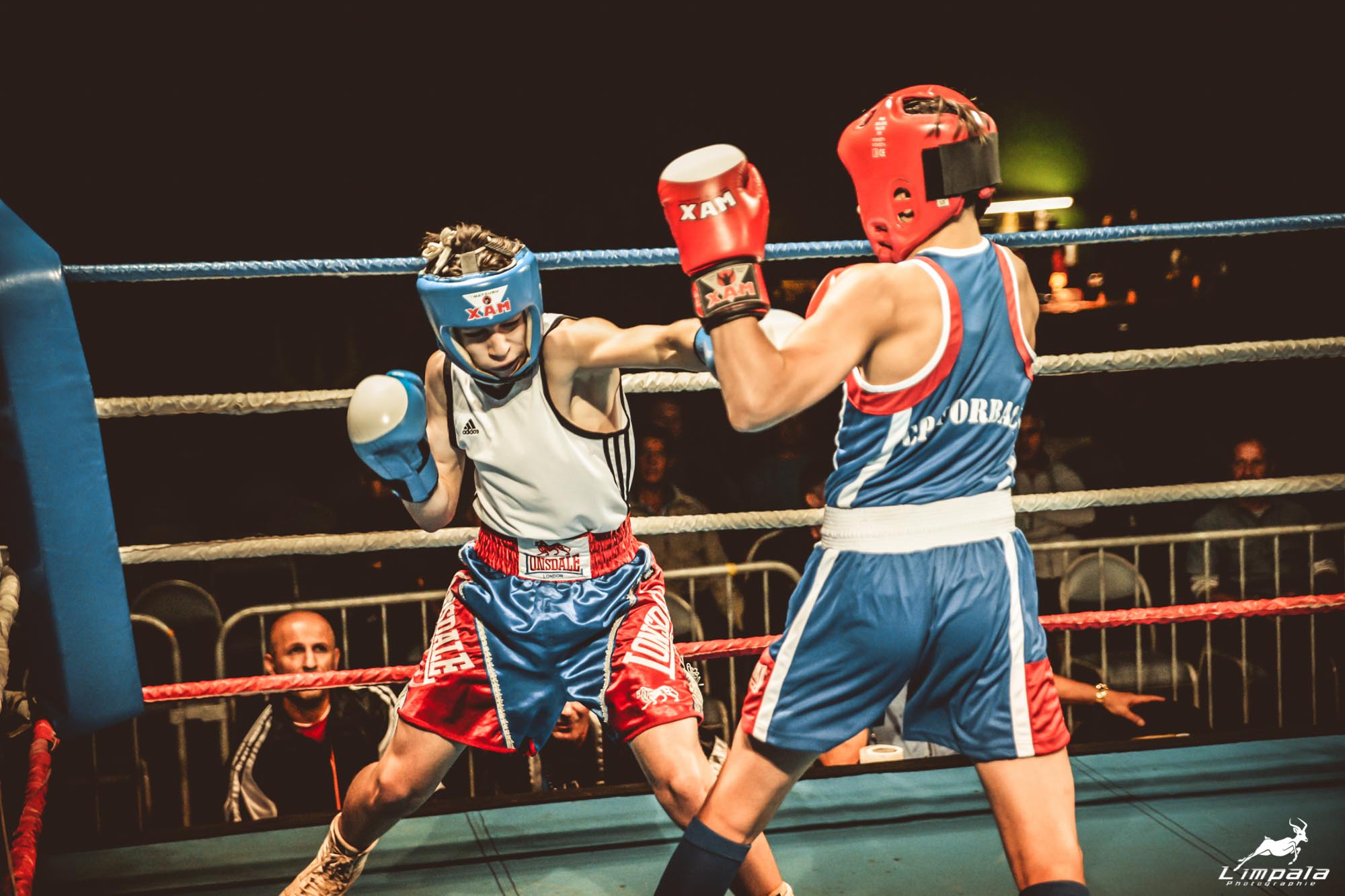 L'Impala Photographie