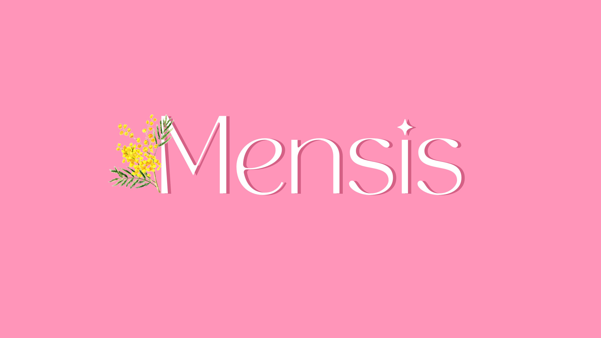 Disposable Bag | Mensis