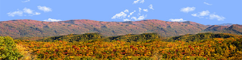 AUTUMN IN SMOKY MOUNTAIN NATIONAL PARK TENNESSEE left | BACKDROPS ONLY