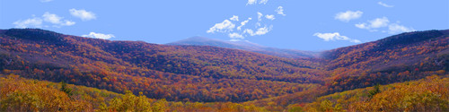 AUTUMN IN THE BLUE RIDGE MOUNTAINS center repeatable | BACKDROPS ONLY