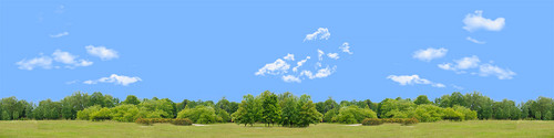 TREELINE PANORAMA 3 repeatable | BACKDROPS ONLY