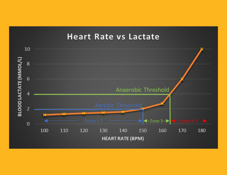 Aerobic Threshold - the most critical metabolic stat you should know