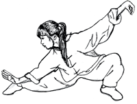 Why Practice Low Wide Stances