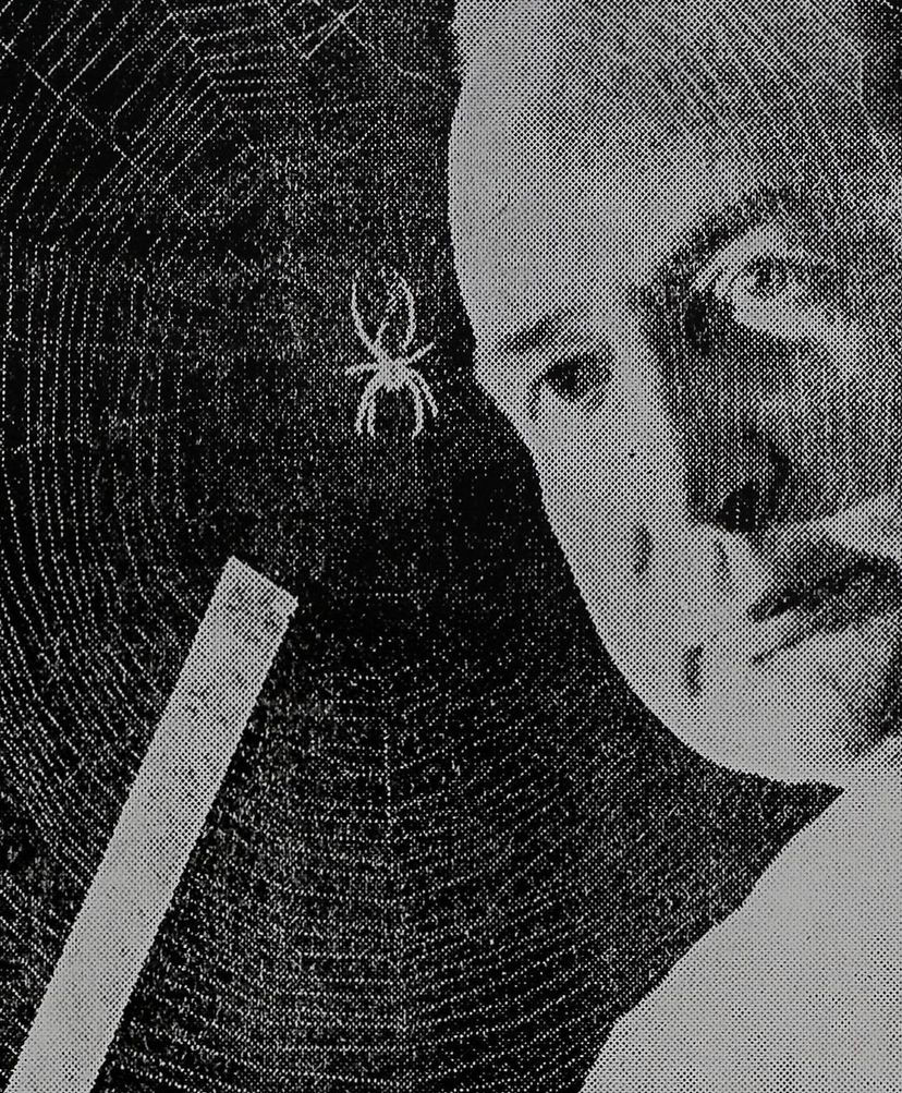 What Happens to a Spider Web on LSD?