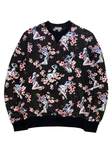 FW19 Dior Homme x Hajime Sorayama ‘Robot’ Monogram Crewneck ...