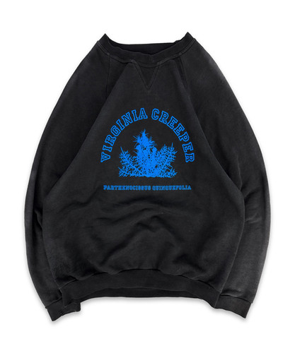AW02 Raf Simons ‘Virginia Creeper’ Collegiate Logo Crewneck ...