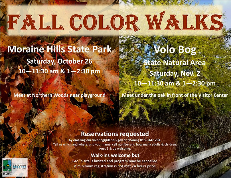 Volo Bog State Natural Area | Friends of Volo Bog | Ingleside