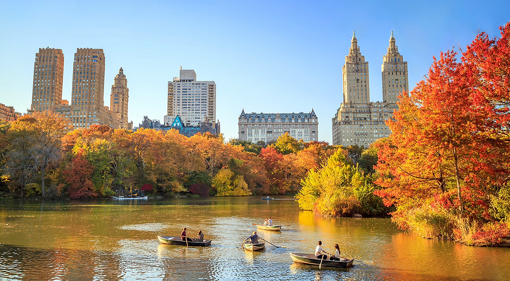 New ship. New places. New you. Brilliant Lady’s all-new U.S. & Canadian ...