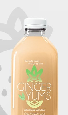 Ginger Pineapple Yums 6-pack | Ginger Yums Sip Shop