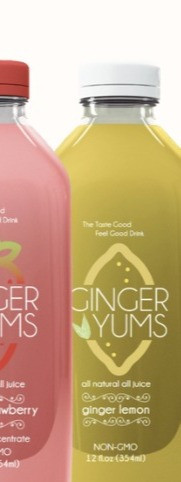 Ginger Lemon Yums 6pk | Ginger Yums Sip Shop