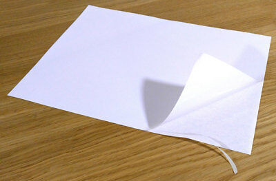 Printed A4 Gloss Crack/Split Back Label | Speedyprint