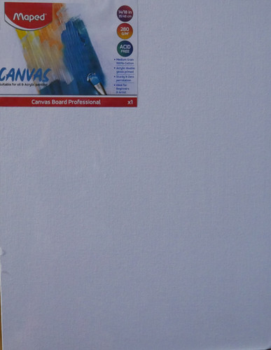 MAPED PAINTING CANVAS BIG | MIDAS TOUCH