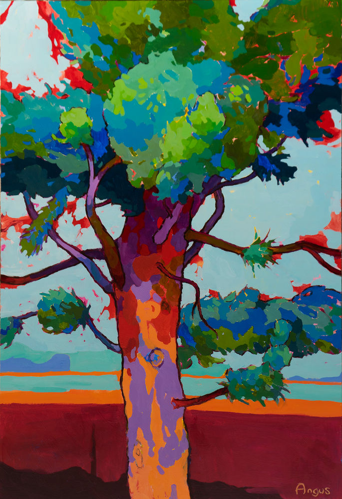 It’s All About Perspective: Interview with Angus Wilson