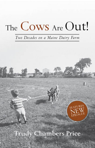 The Cows Are Out! | Islandport Press