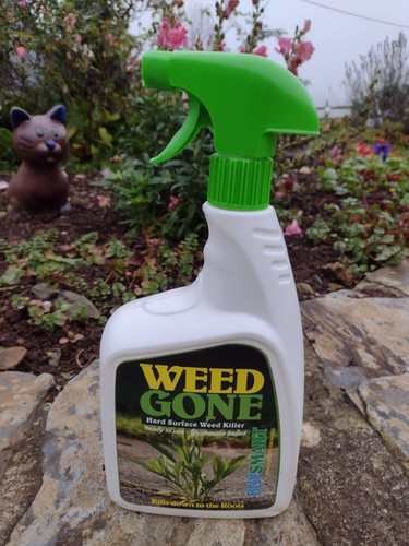 Weed killer Weedgone trigger spray . | Cornish Cabbage Plants | Buy ...