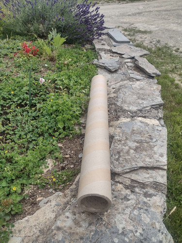 Growing tube for plants or other various uses | Cornish Cabbage Plants ...