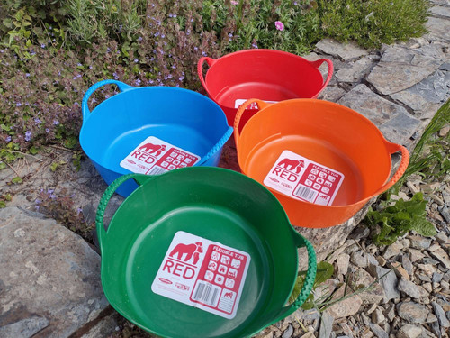 Mini shallow tub trug | Cornish Cabbage Plants | Buy Vegetables Online