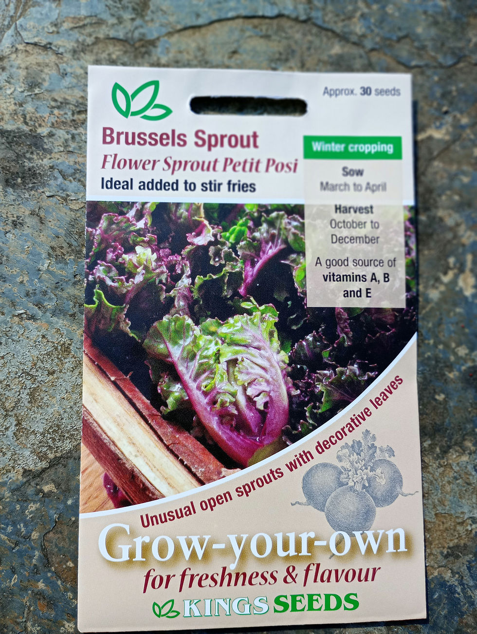 Brussels Sprout Flower Sprout Petit Posi | cornishcabbageplants