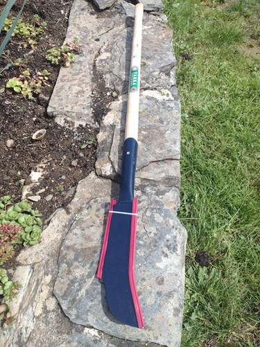 Slasher double edge | Cornish Cabbage Plants | Buy Vegetables Online