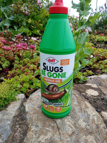 Doff Organic Slug Defence Gel | Cornish Cabbage Plants | Buy Vegetables ...