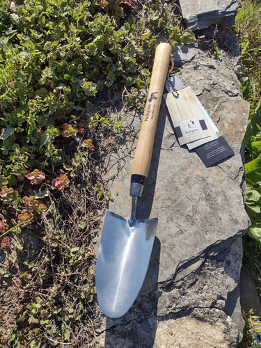 Bulldog long handled trowel | Cornish Cabbage Plants | Buy Vegetables ...