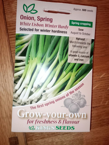 White Lisbon Spring Onion 600 seeds | Cornish Cabbage Plants | Buy ...
