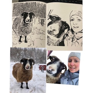 sprout coloring book