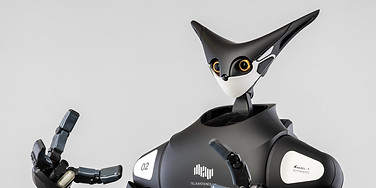 Kodacy | Learn to Code