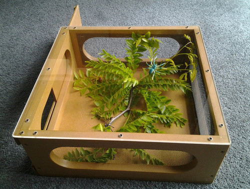 Observation Box | Twineworks