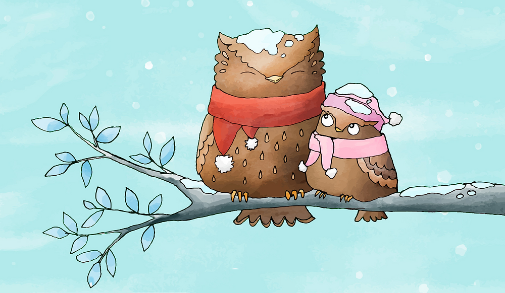Stages vacances d'hiver 2024 Stages vacances d'hiver 2024