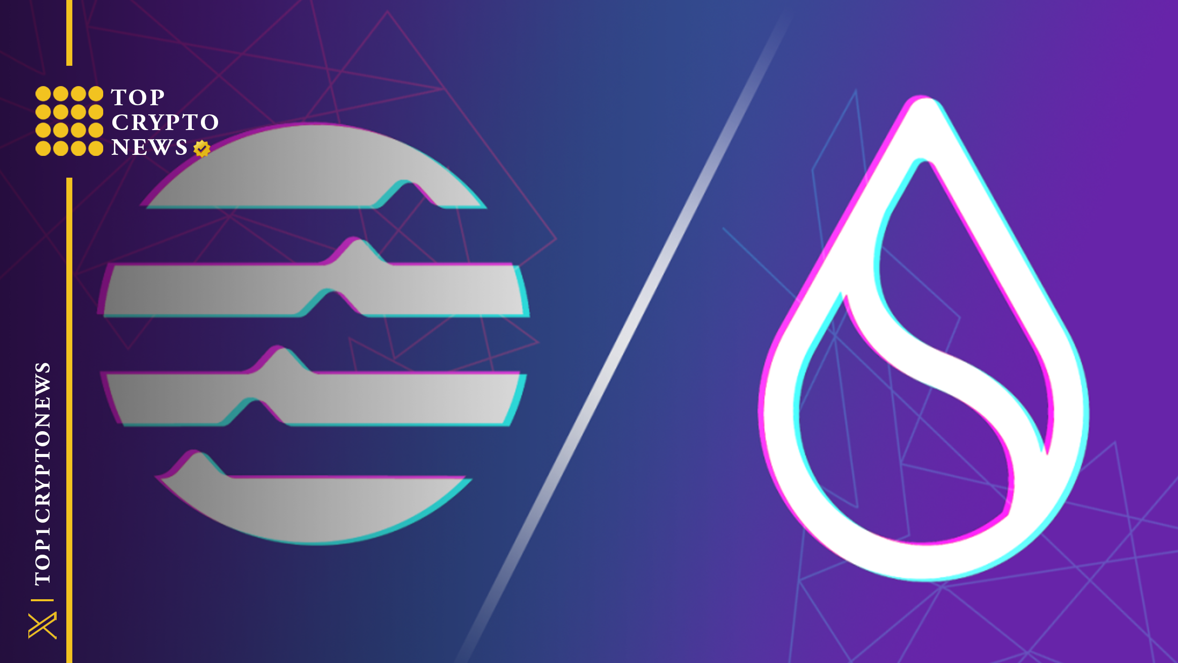 Move-Based Blockchains: Aptos, Sui, and Movement Compared