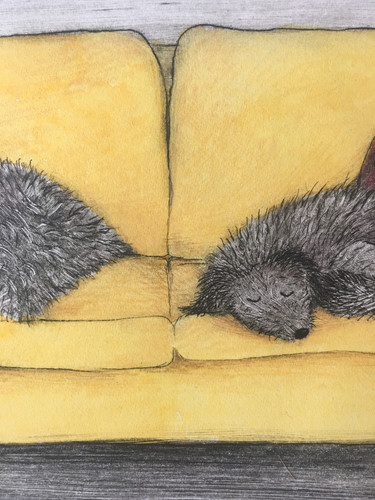 'Home' | Rachel Everitt